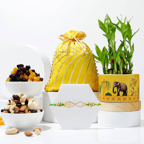 Buy/Send Infinity Symbol Rakhi And Bamboo Plant With Dry Fruits Online ...