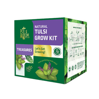 Buy/Send Tulsi Plant Grow Kit Online | IGP | JVS1410515